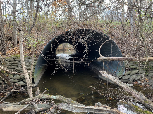 Project Announcement: Warren Rd Bridge Project (Ann Arbor Twp ...