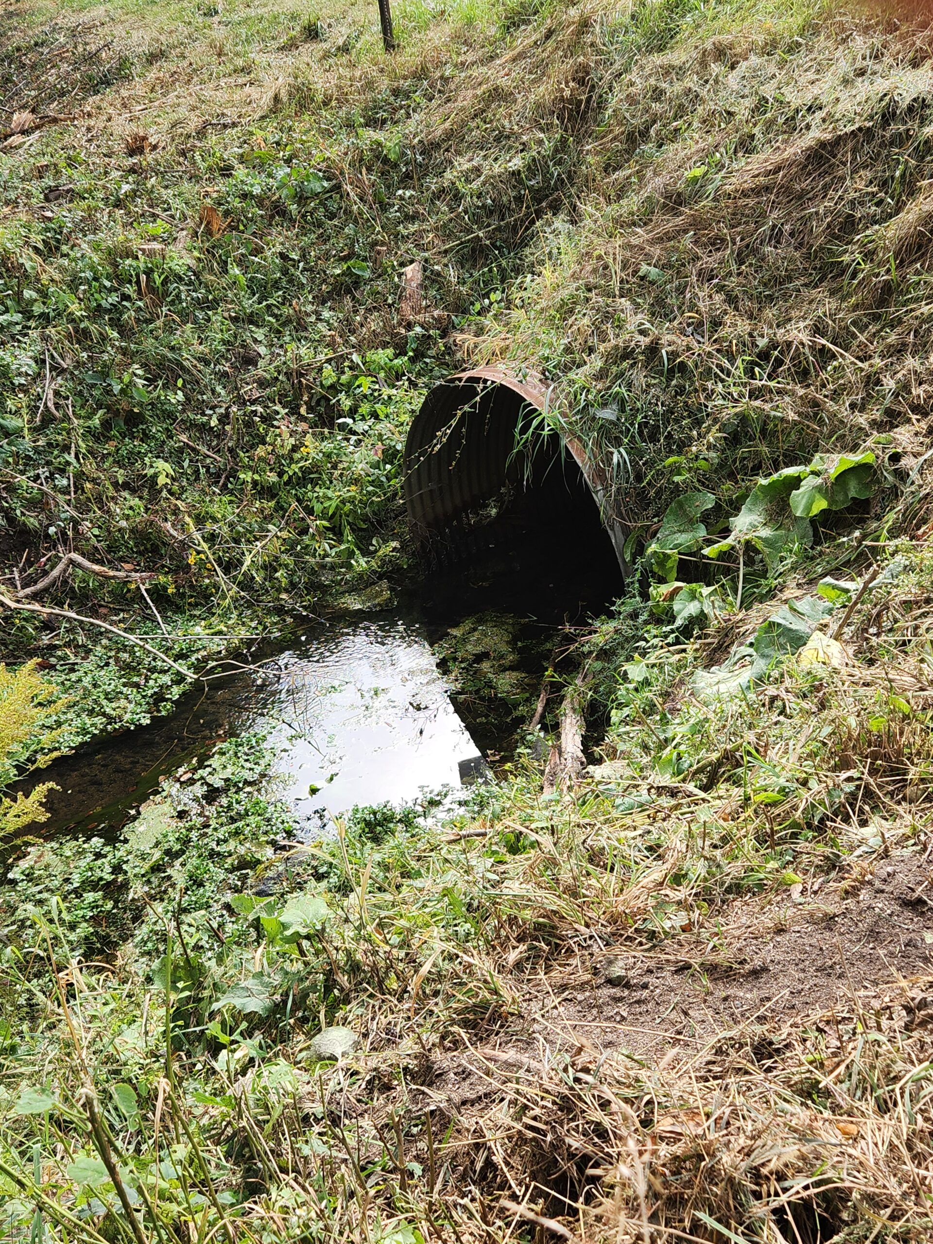 Project Update #1: Joy Rd Culvert Replacement (Webster Twp) - Washtenaw ...